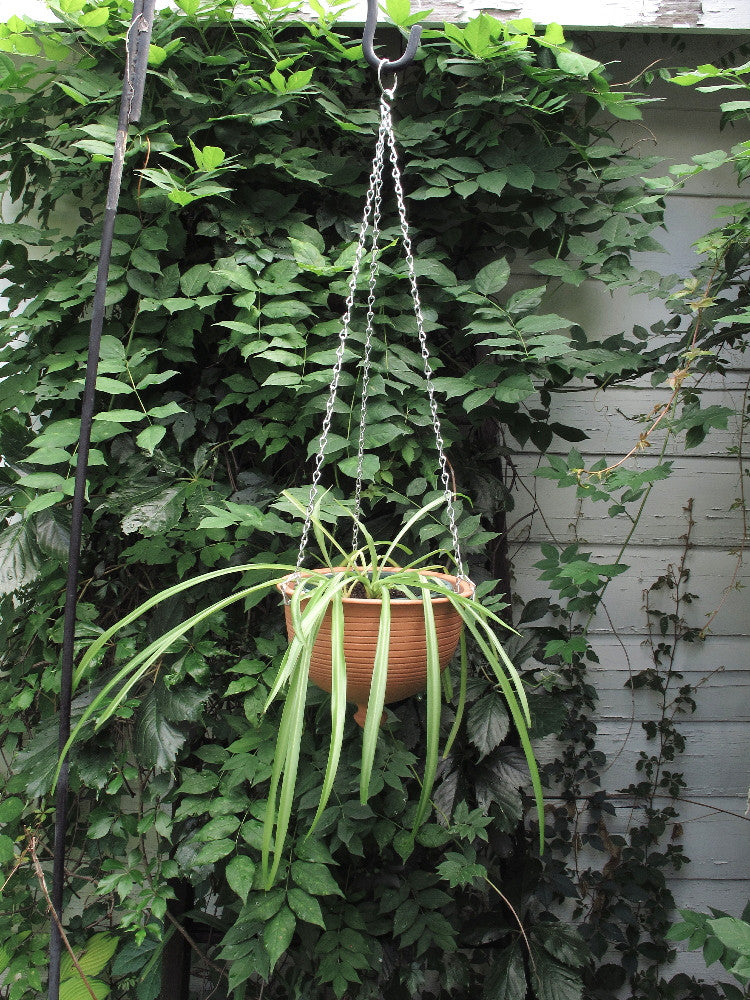 Large Hanging planter terracotta unglazed modern Urban Garden gardening ...